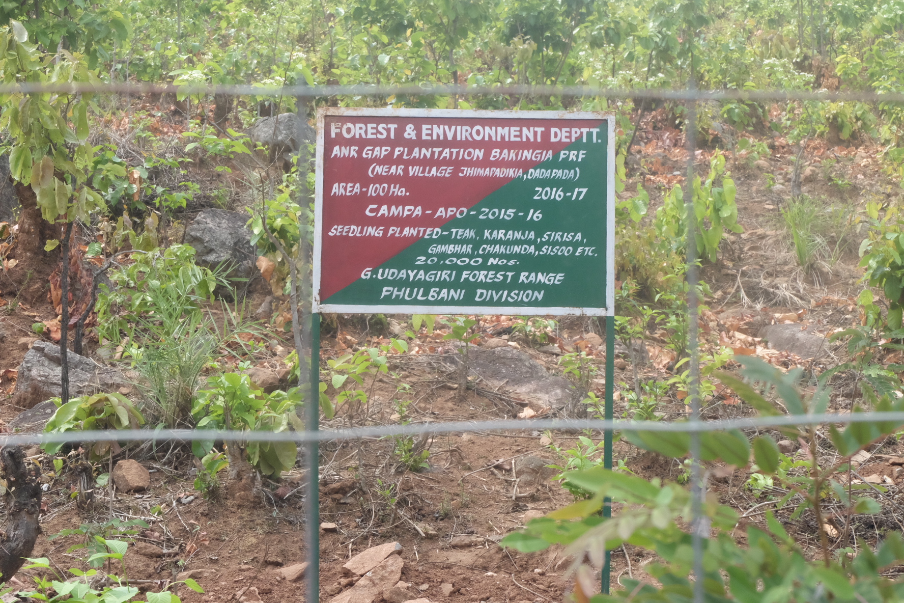 The Indian Government Is Displacing Indigenous People to Plant Trees