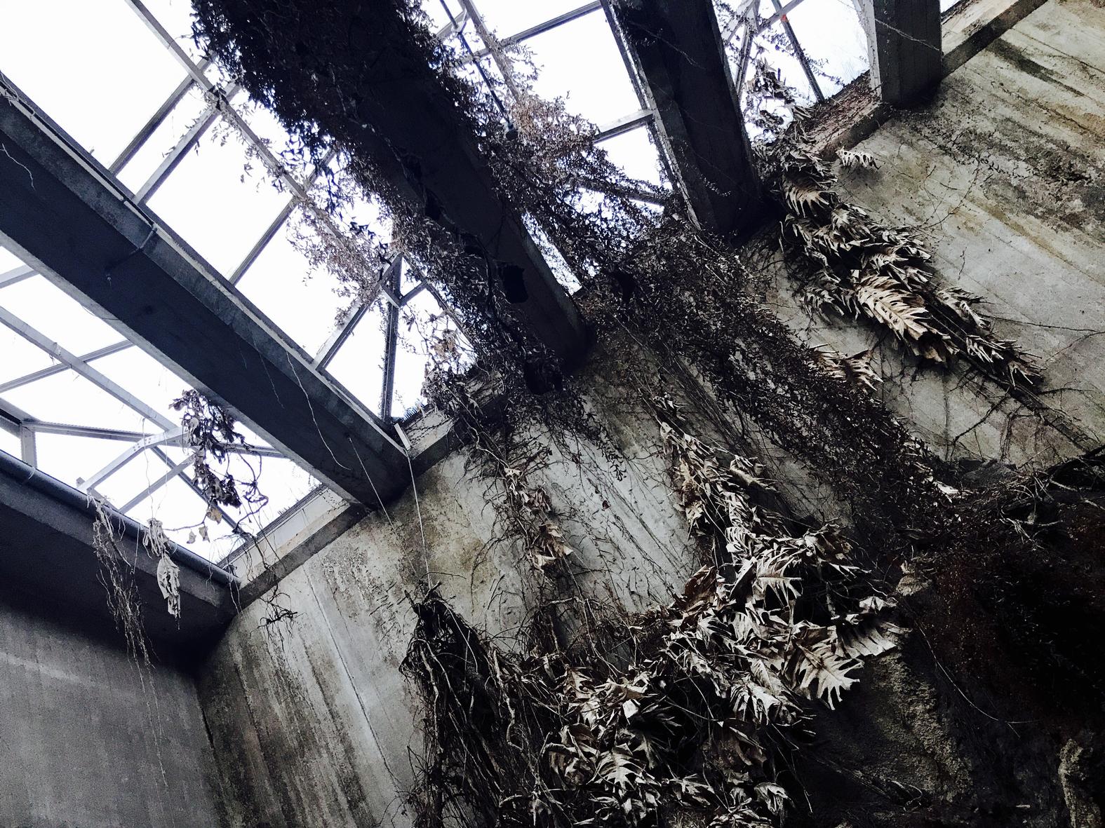 Post-Apocalyptic Photos of an Aquarium in Decay