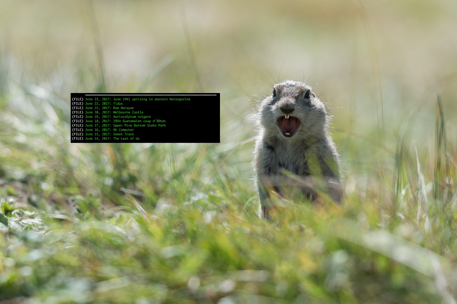 Long Live Gopher: The Techies Keeping the Text-Driven Internet Alive