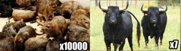 This Meme Broke Our Office