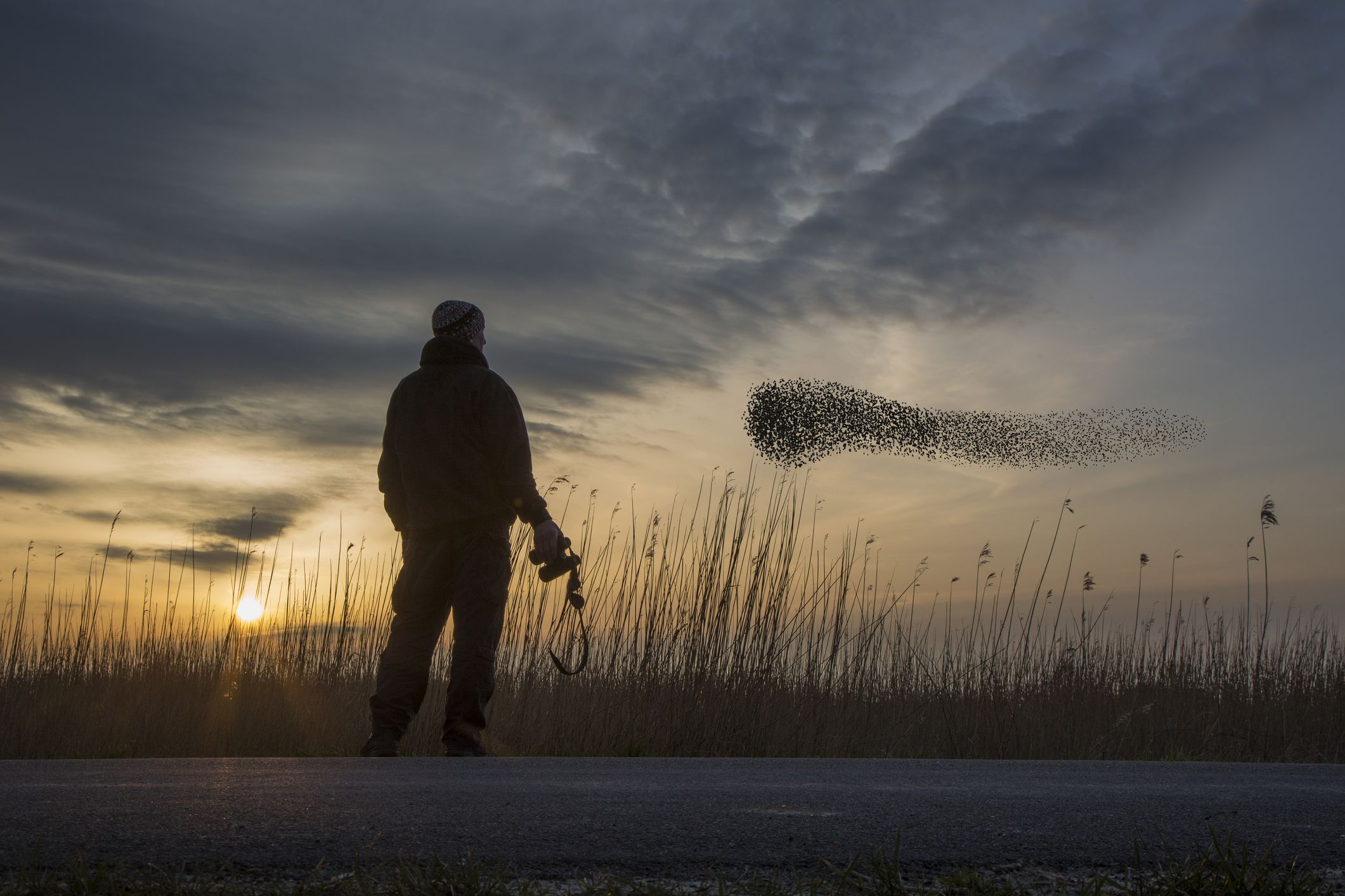 Birdwatching Is an Easy Way to Practice Mindfulness