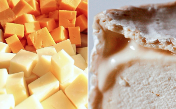 This 'Human Cheese' Is Made From Celebrity Skin Bacteria