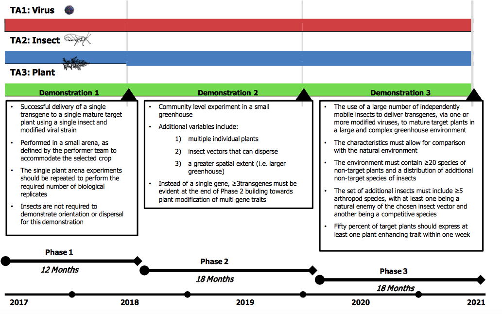 Scientists Fear DARPA's 'Insect Allies' Will Attack Global Food Supply ...