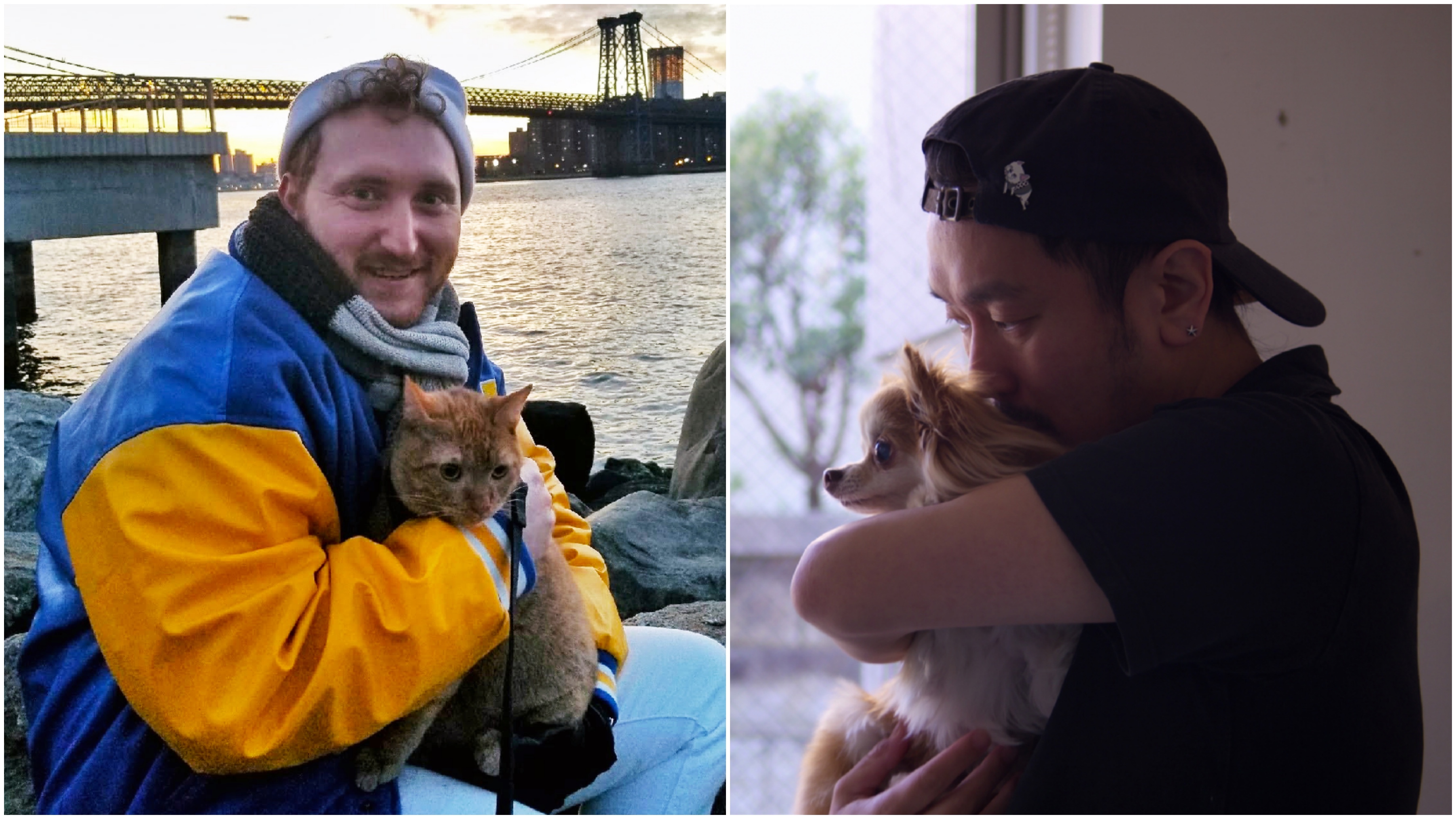 Netflix’s Epic 'Dogs' Documentary Series, Reviewed by a Cat Owner