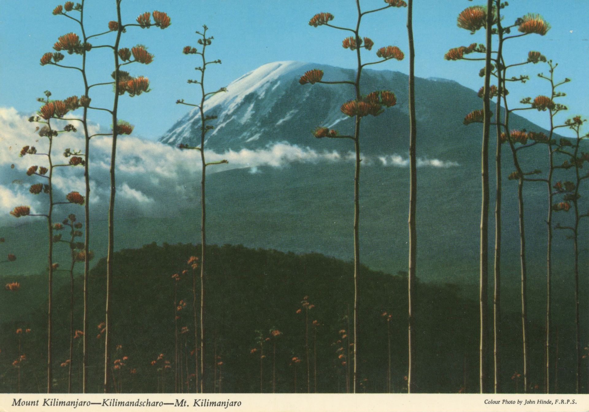 Meraba Jejak Rasisme dan Kolonialisme dari Foto Kartu Pos Jadul Afrika