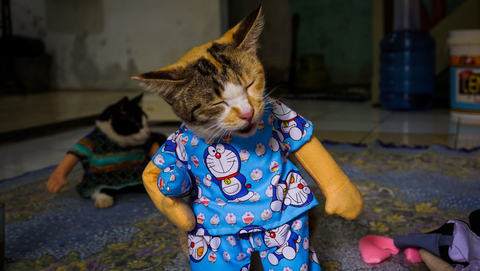 Meet The Cat Couture Designer Bringing Joy To Your Timeline