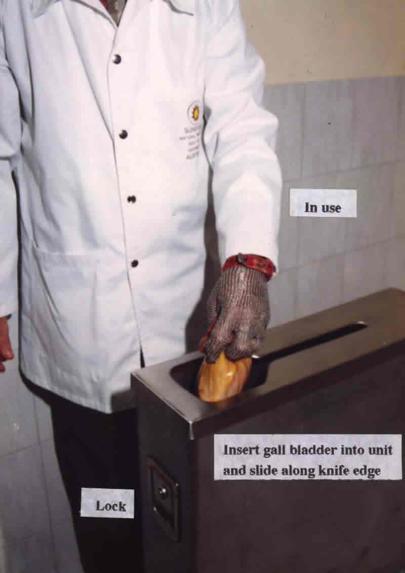 Offcut Gems: Inside the Million-Dollar Market for Cow Gallstones