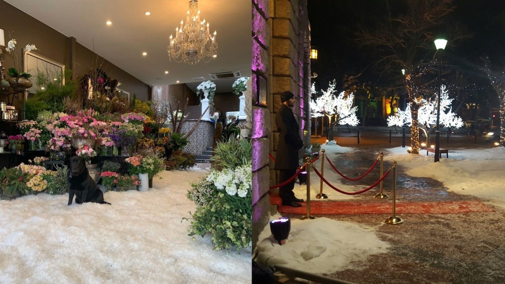 A Serious Search for the Most Realistic Fake Snow