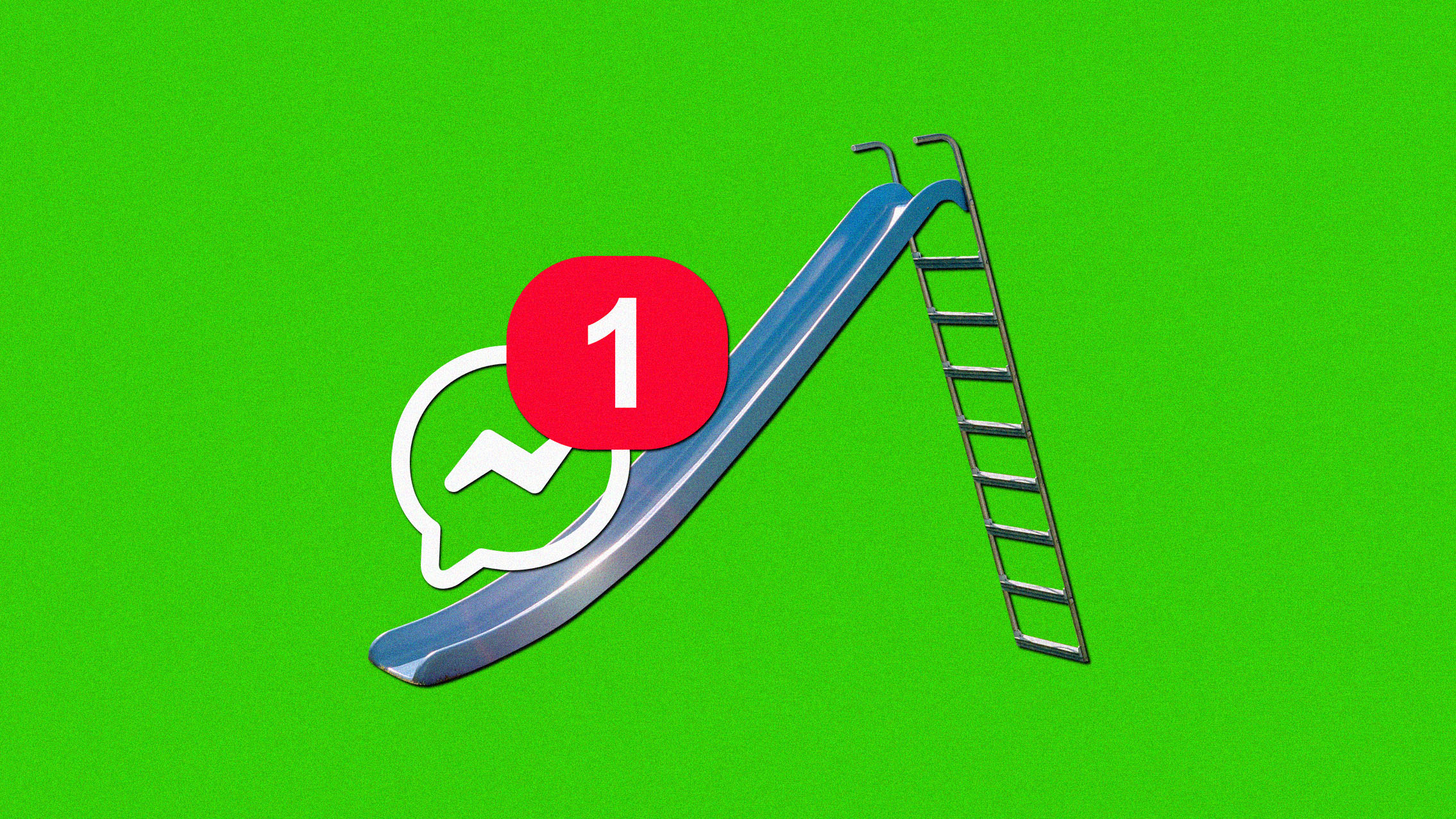 Her Name Is Moo-Deng. Look at Her. Look at Moo-Deng.