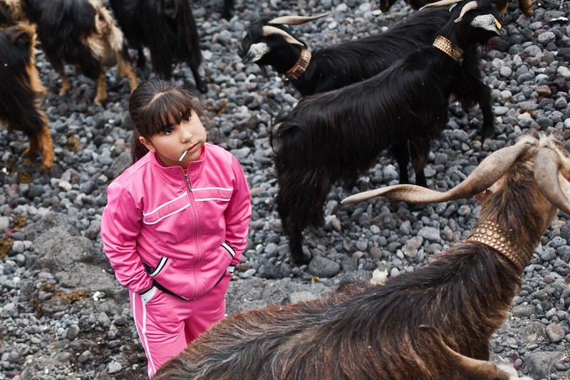 Goat Bathing In Tenerife
