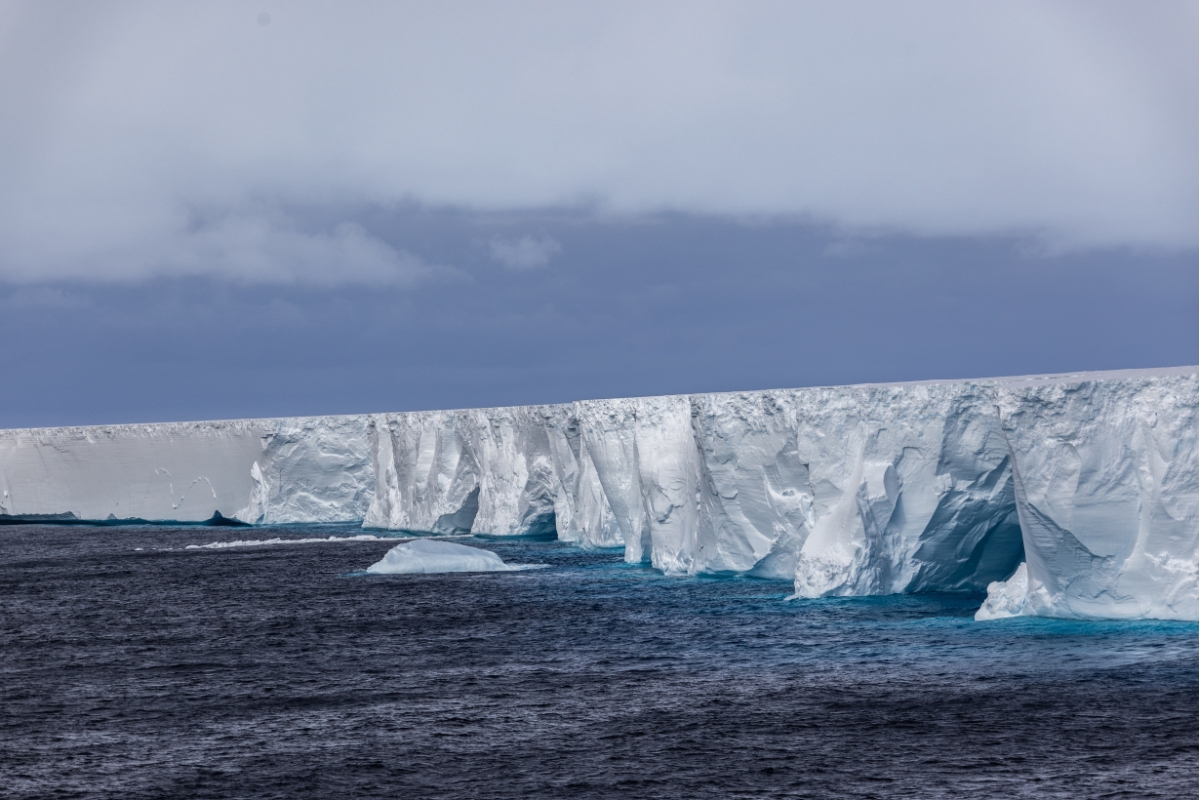 World’s Largest Iceberg 'A23a' on Course to Hit Penguin-Packed Island