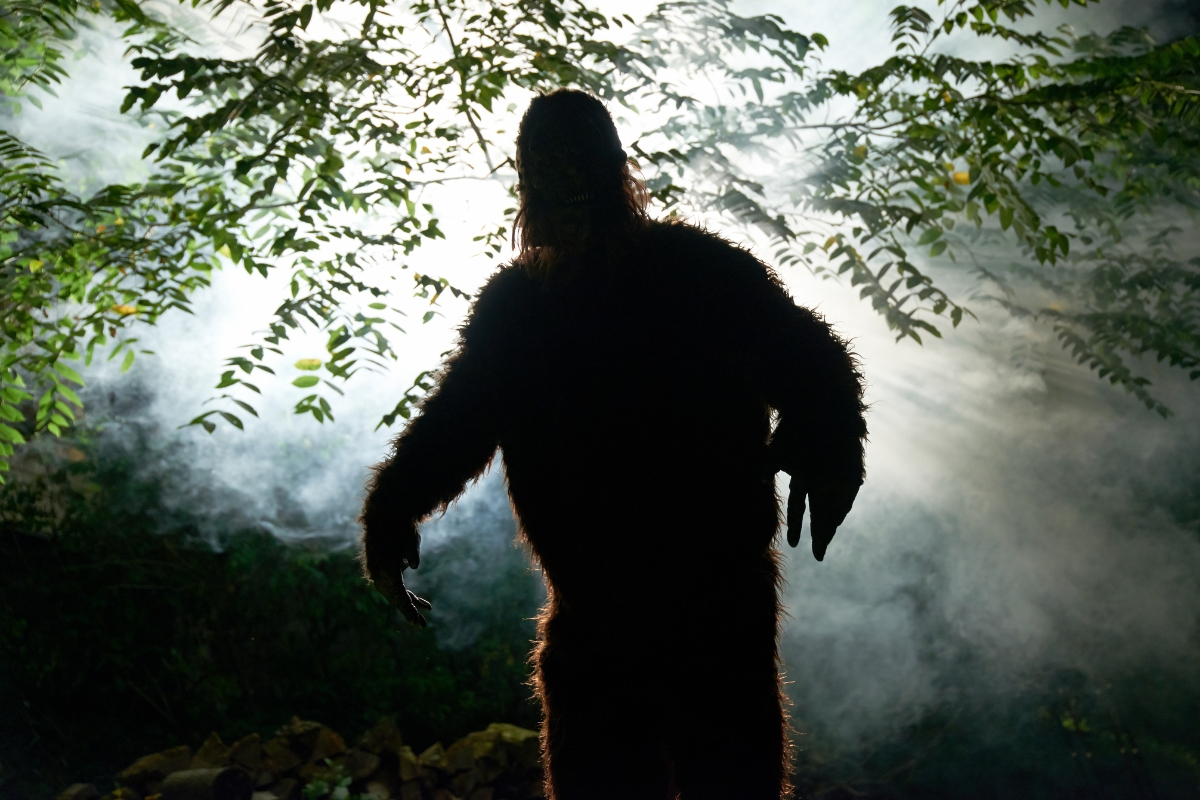 NHL’s Utah Team Can’t Be the Yetis Because of YETIs