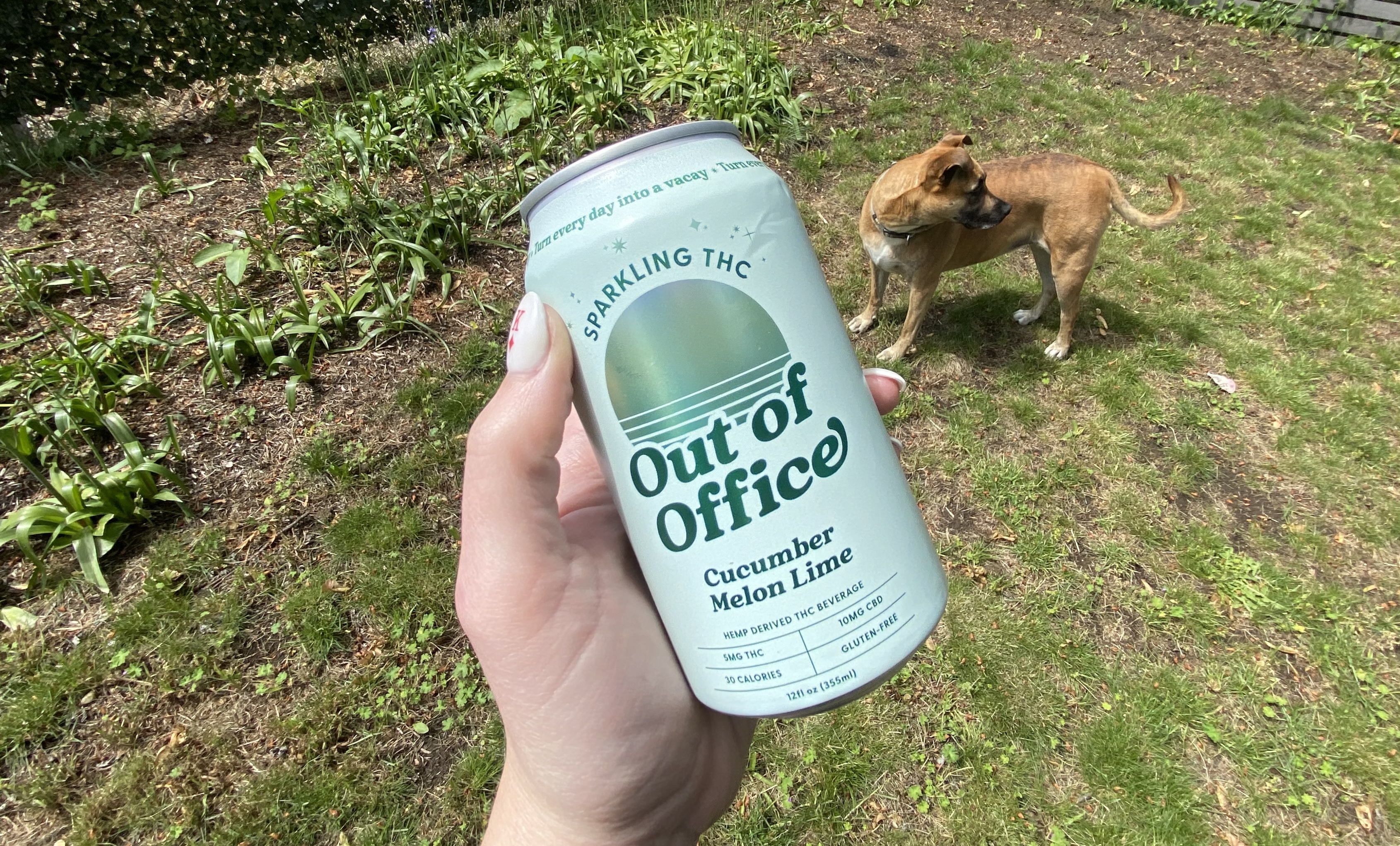 The Wild World of Hotwifing, the Kink Couples Swear Saved Their Marriages