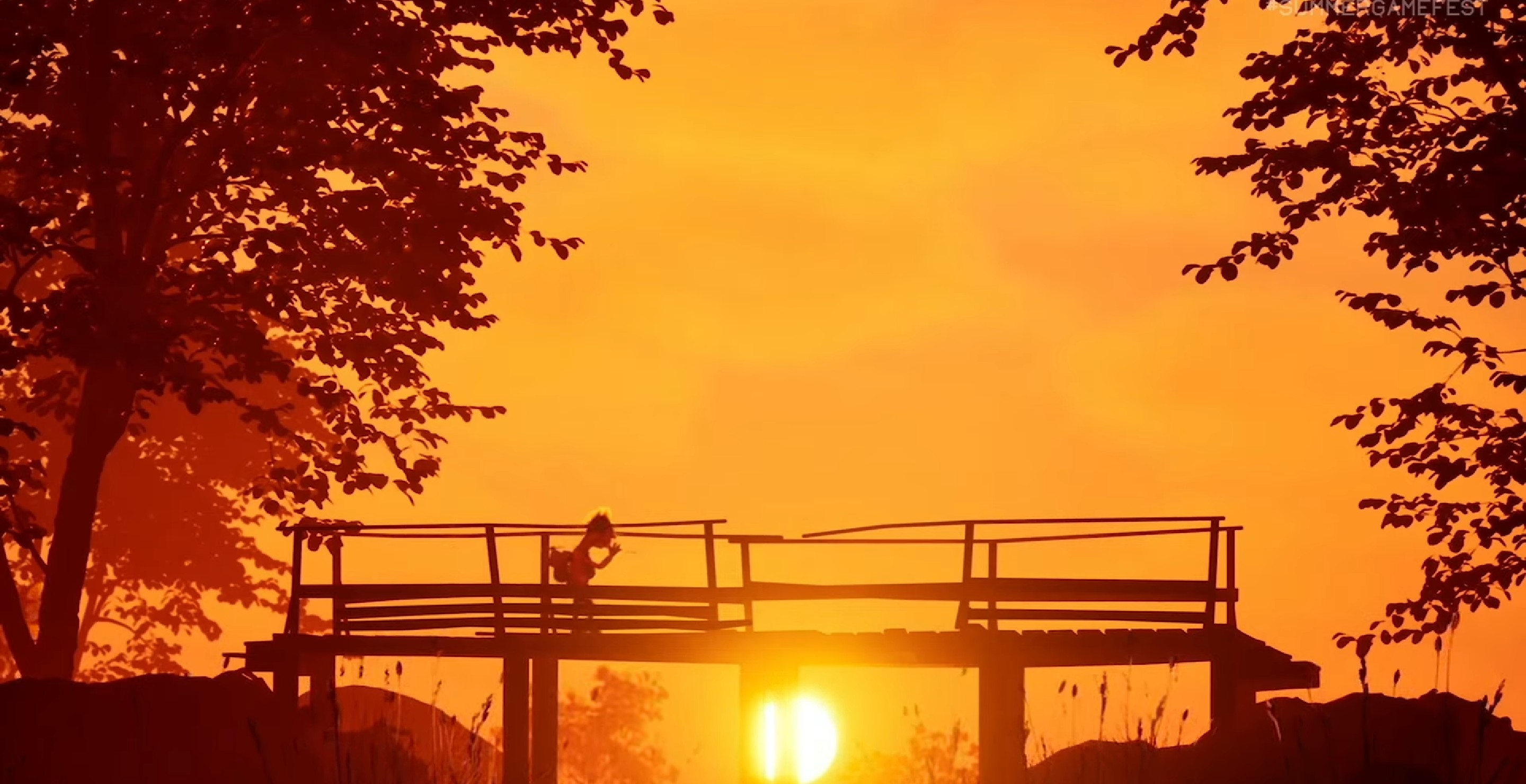 Here's How Much of the World's Forests Could Vanish by 2050