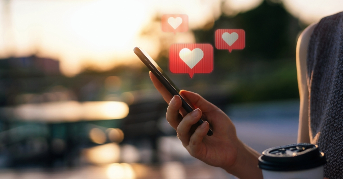 Here's How Much of the World's Forests Could Vanish by 2050