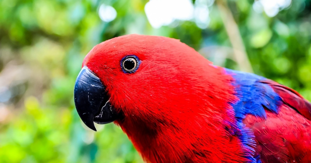 News Archives - VICE