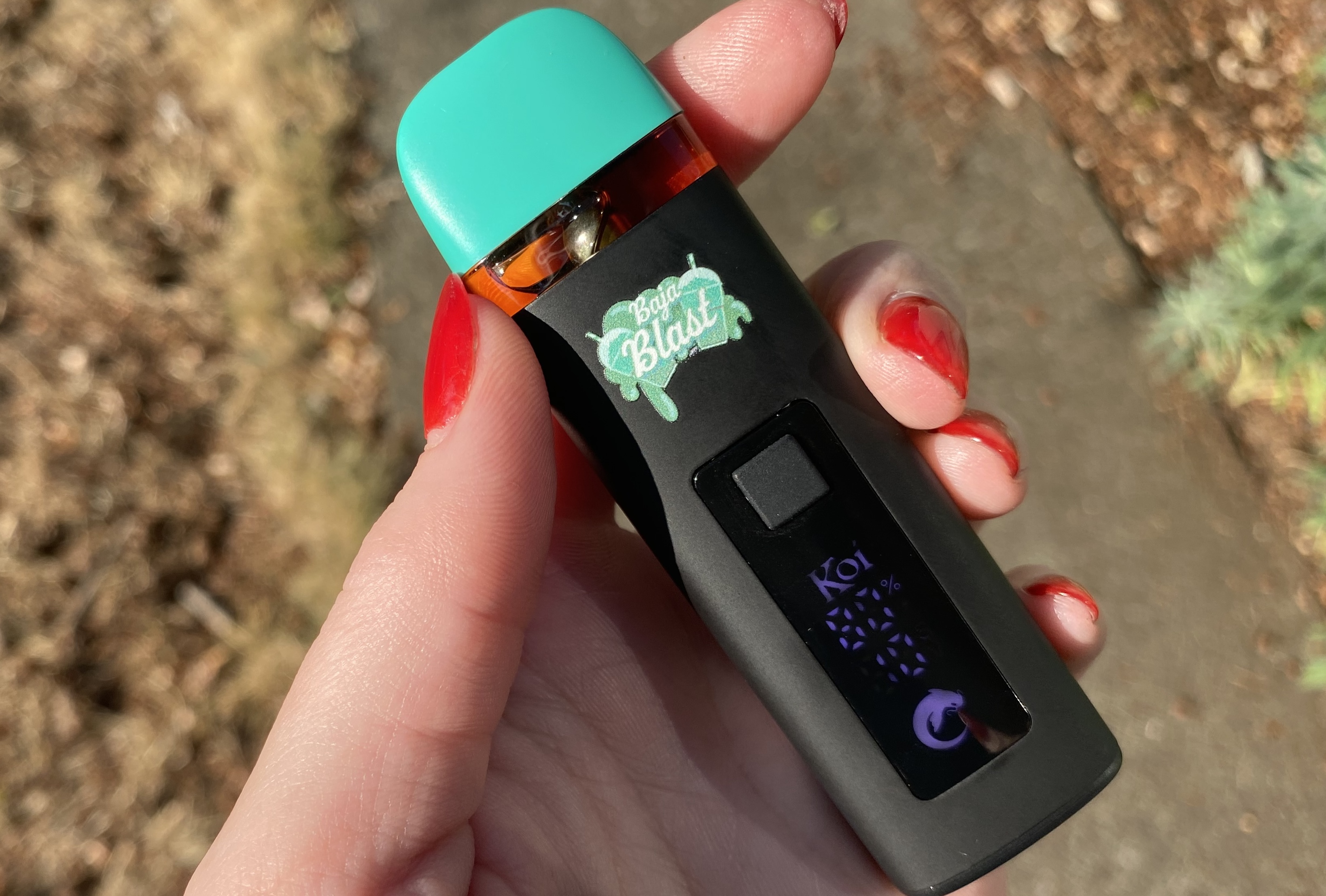 RFK Jr. Drove 5 Hours to Cut Off a Whale’s Head—And Other Bizarre ...