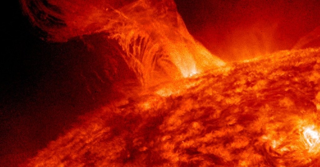 Robot Bunnies Deployed in Florida To Help Fight Massive Python Problem