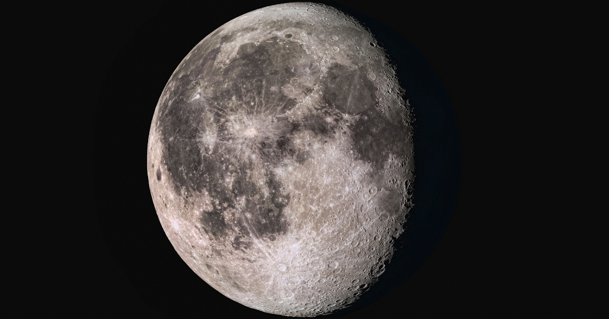 This is what the life of an incel looks like