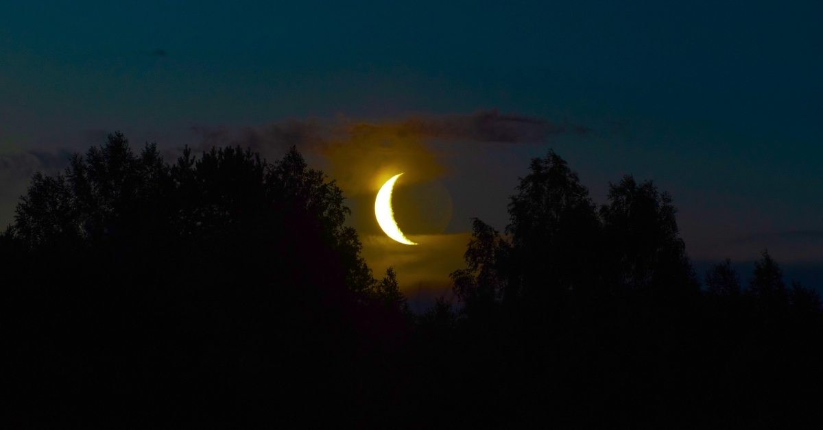 Pick Up a Samsung Galaxy Tab S9+ Tablet for Half the Cost of an S10+