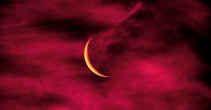 Trans People Are Seeking Nonbinary Bottom Surgeries