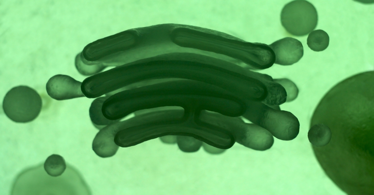 ‘Alien’ DNA May Exist Within Humans, Genetic Study Claims